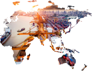 track a shippment - Alliance Shipping
