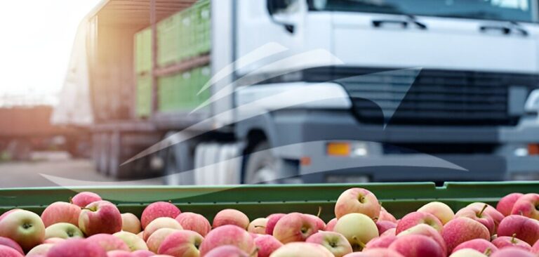 What Is Shipping? Meaning, Process and it's Types