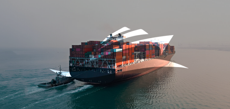 Loose Cargo Shipping vs Bulk Cargo Shipping: Best Method?